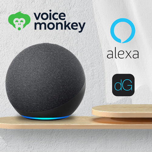 digiGate with Alexa!